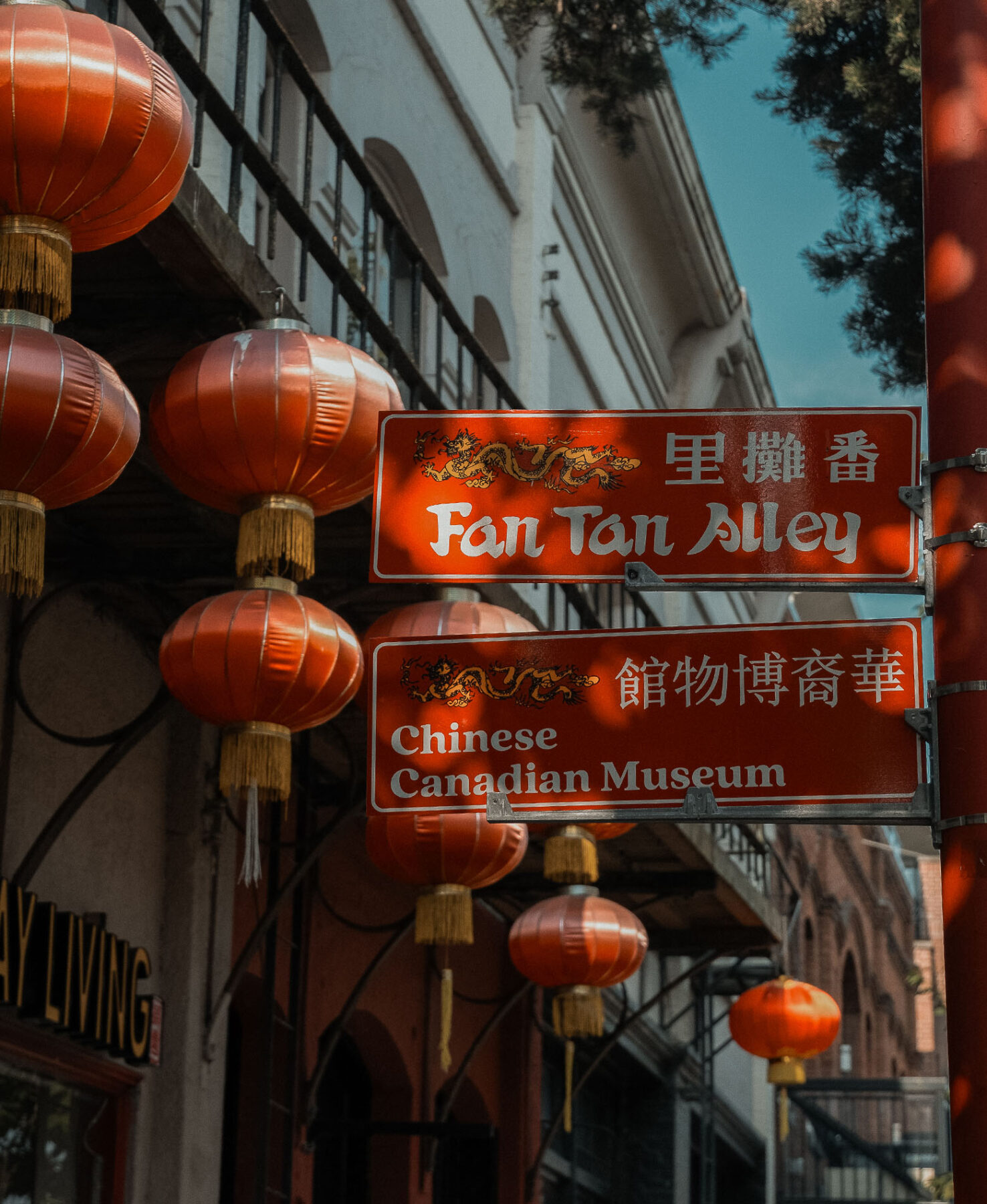 The Fan Tan Hotel | Things to Do in Victoria’s Chinatown